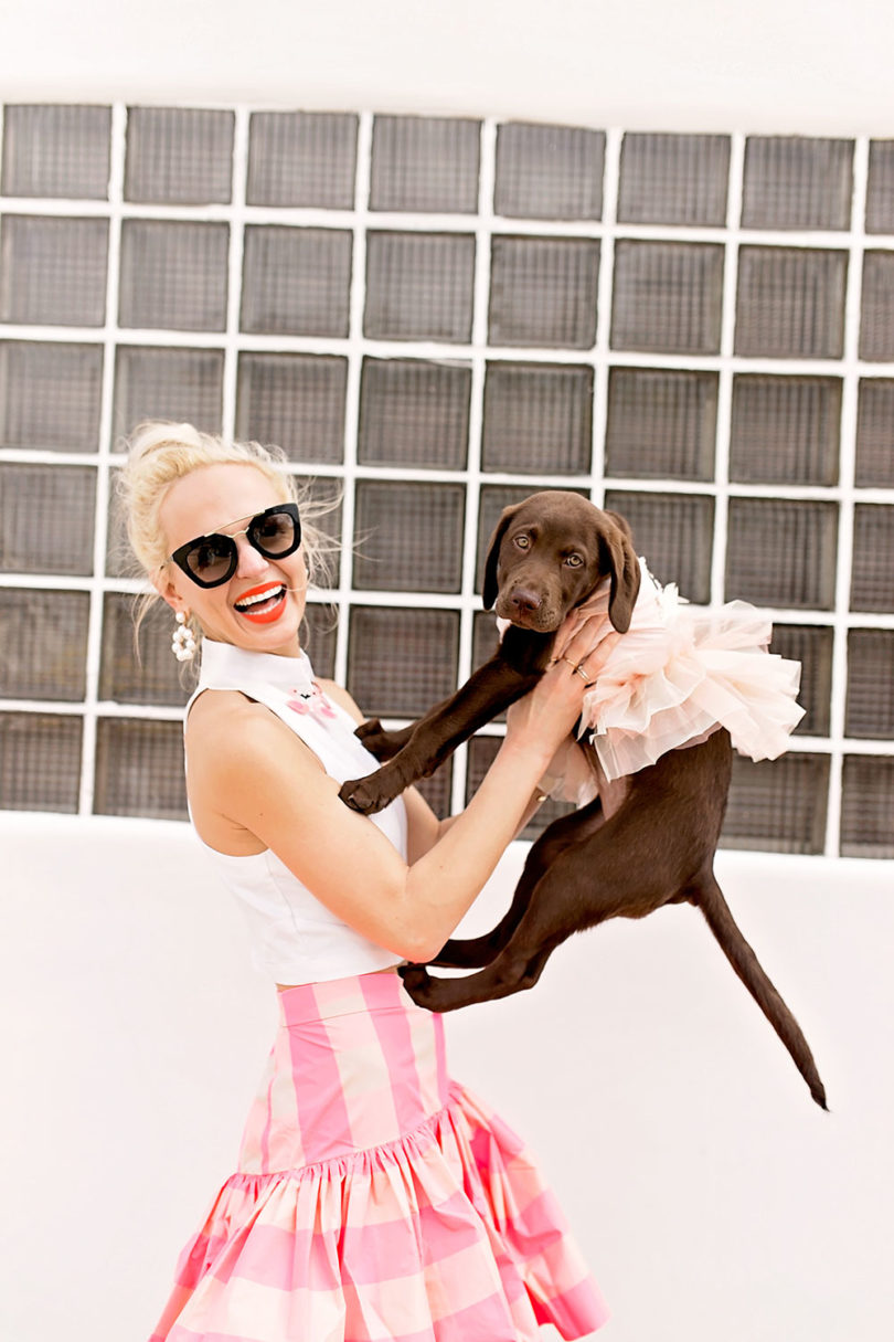 Ruffle Skirt Outfit